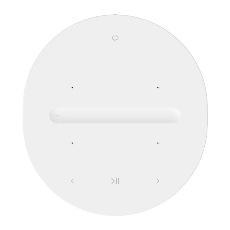 Sonos Era 100 Wireless Speaker